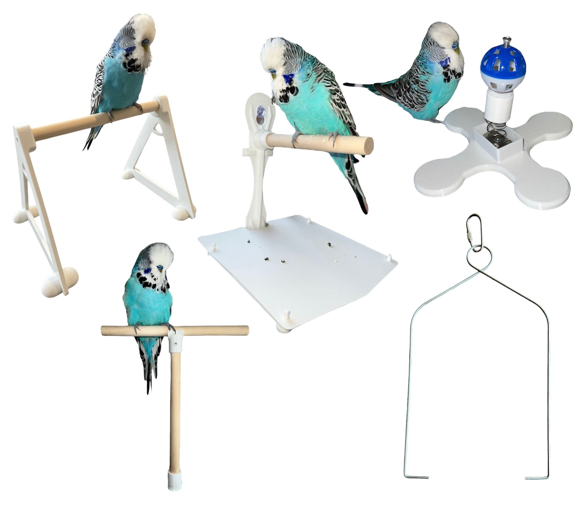 Unique Bird Toys – EWS PRODUCTS